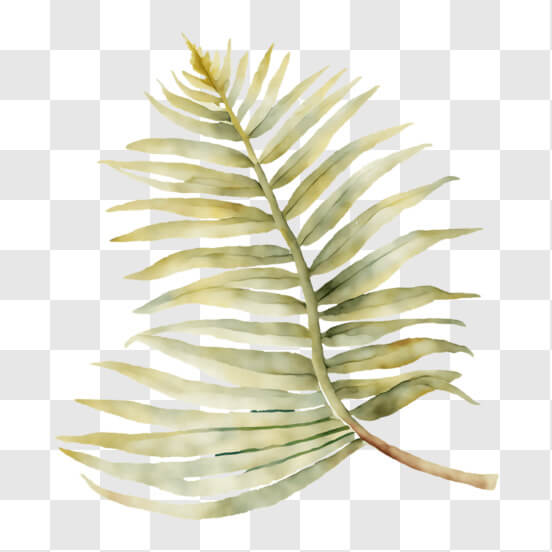 Fern Leaf PNG - Download Free & Premium Transparent Fern Leaf PNG ...