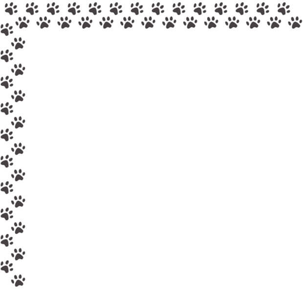 Download Black and White Paw Print Square Frame Borders & Corners ...