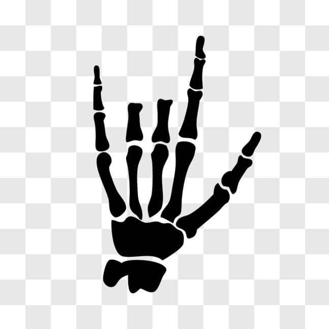 Download Black and White Skeleton Hand Gesture PNGs Online - Creative ...