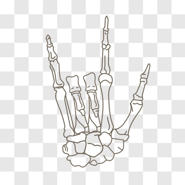 Download Black and White Skeleton Hand Holding an Object PNGs Online ...