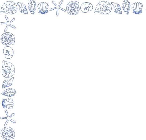 Download Hand-drawn Blue Seashell Frame for Artwork and Design Borders ...