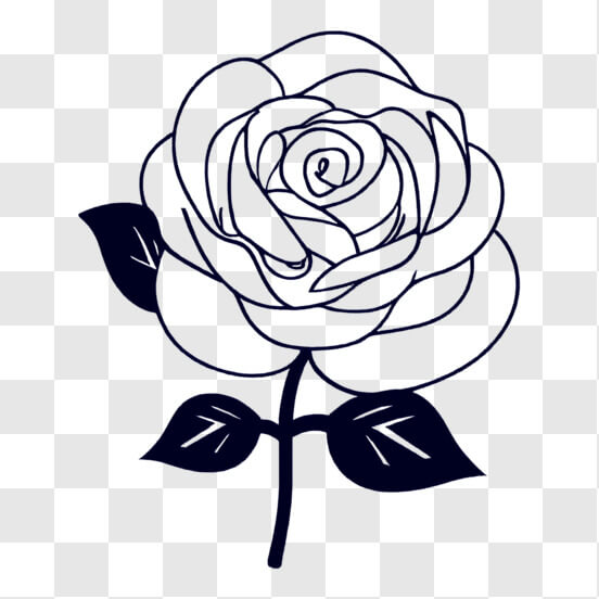Flower Outline Png Flower Outline PNG Transparent Images Free Download