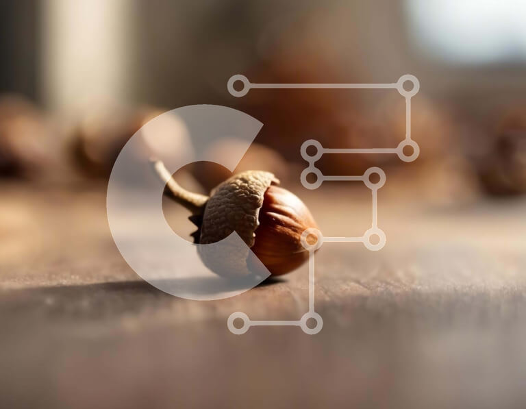 Download Acorn and Hazelnuts on Table Stockphotos Online - Creative Fabrica