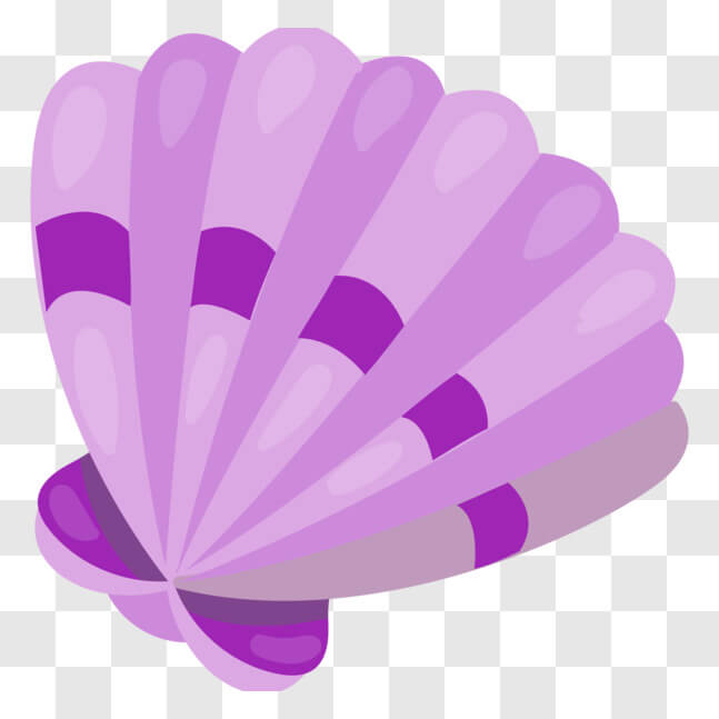 Download Purple Seashell on Isolated White Background PNGs Online ...
