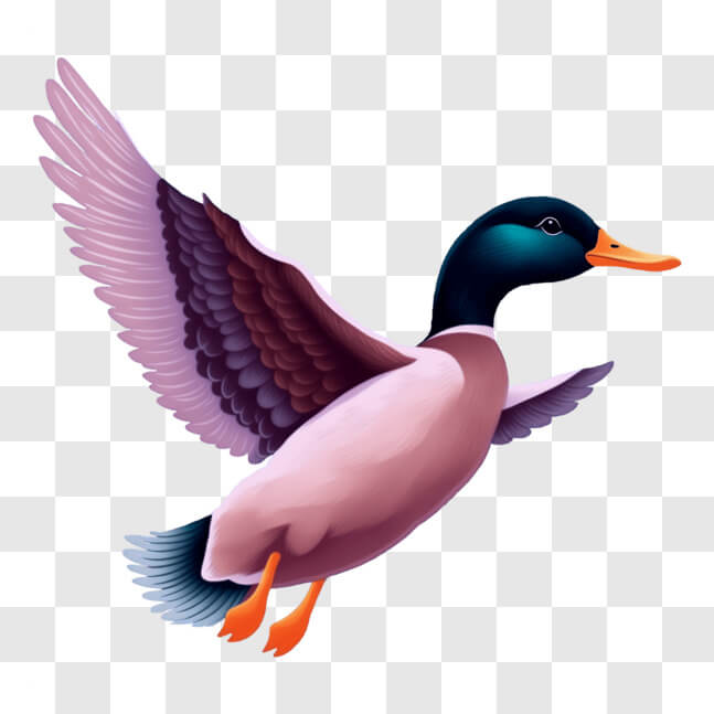 Download Pink Duck in Flight PNGs Online - Creative Fabrica