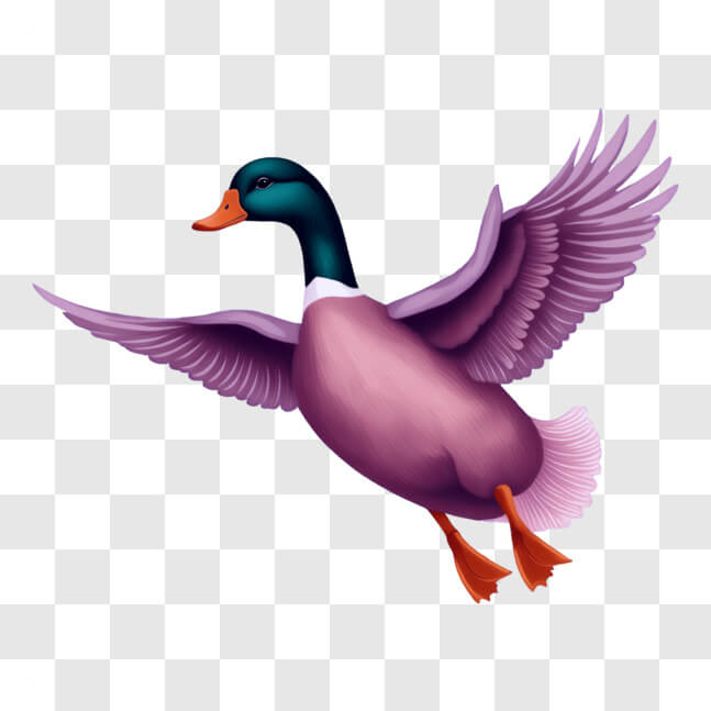 Descarga Pato Morado Volando en el Aire PNGs En Línea - Creative Fabrica