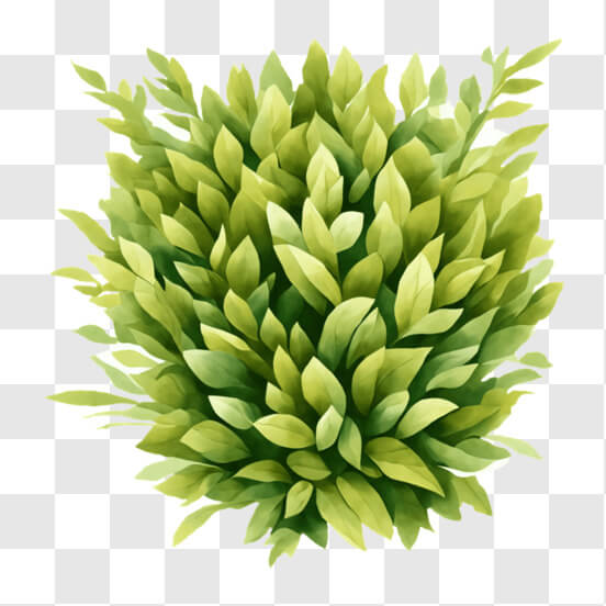 Bush PNG - Download Free & Premium Transparent Bush PNG Images Online ...