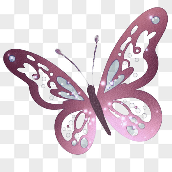 Download Pink Butterfly Cutout on Black Background PNGs Online ...