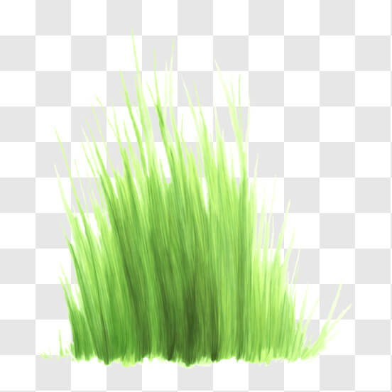 Grass PNG - Download Free & Premium Transparent Grass PNG Images Online ...