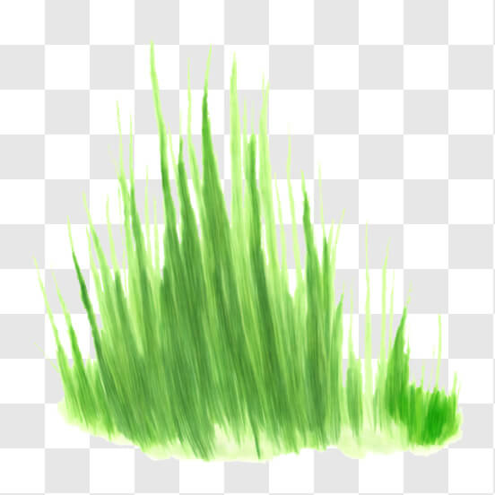 Download Green Grass Clipart for Various Types of Grass PNGs Online ...