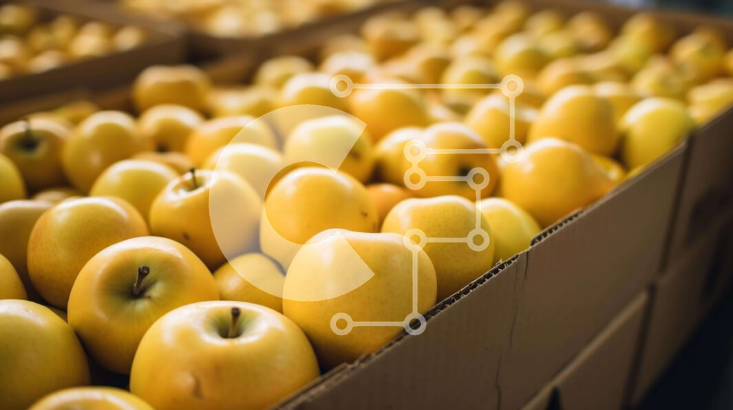 Download Assorted Apples in Cardboard Boxes Stockphotos Online ...