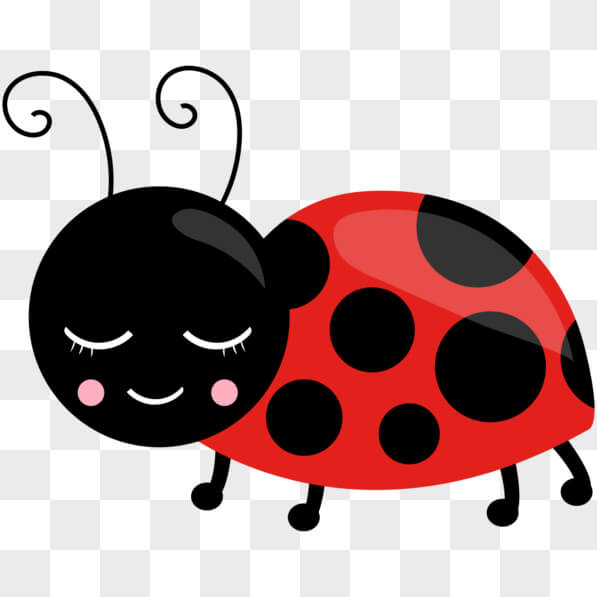 Download Sleeping Ladybug with Red and Black Stripes PNGs Online ...
