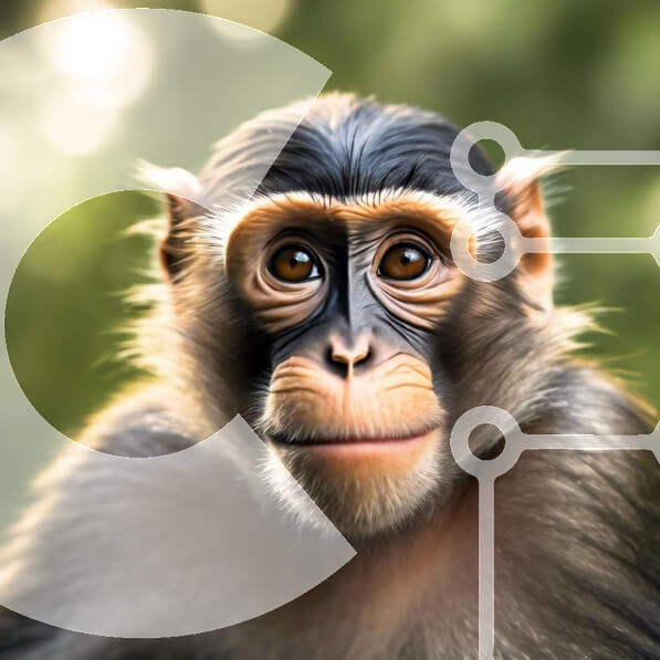 Adorable Monkey Close-up stock photo | Creative Fabrica