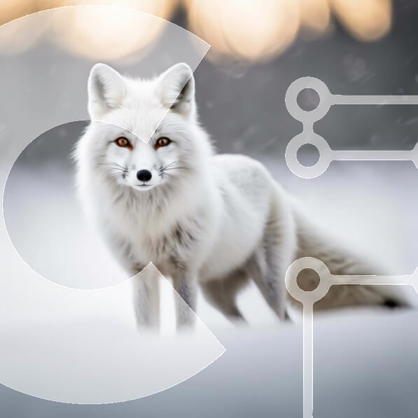 Majestic White Fox in Winter Snow stock photo | Creative Fabrica