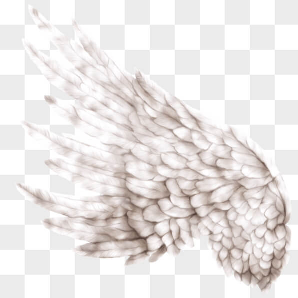 Download White Angel Wing Flying in the Air PNGs Online - Creative Fabrica