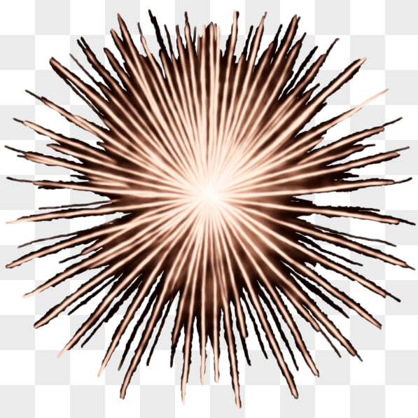 Download Mesmerizing Circular Firework Display PNG Online - Creative ...