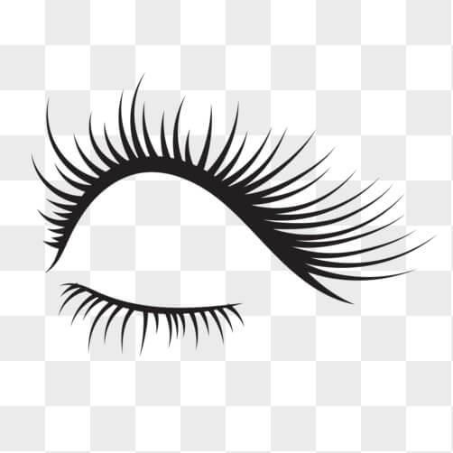 Eyelash PNG - Download Free & Premium Transparent Eyelash PNG Images ...
