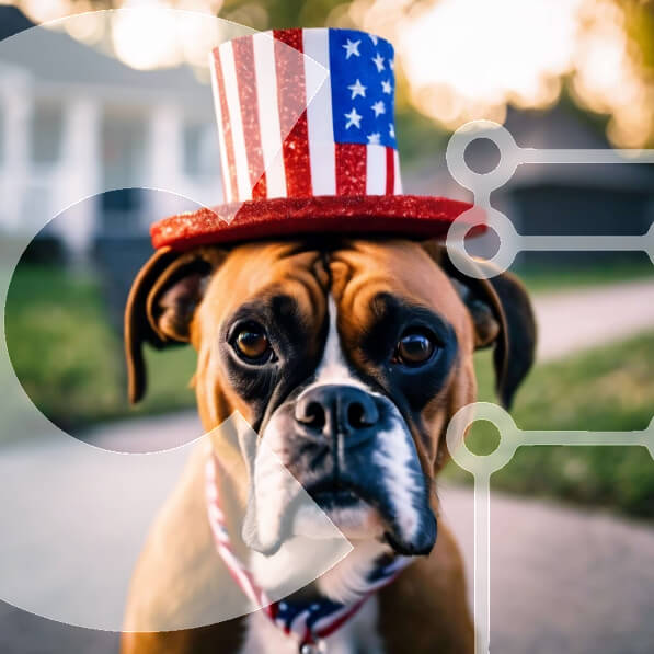 Boxer Dog Wearing Patriotic Hat stock photo | Creative Fabrica