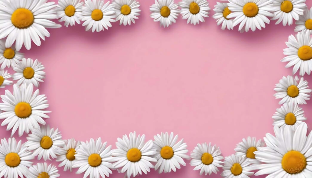 Download Pink Background with White Daisy Frame Backgrounds Online ...