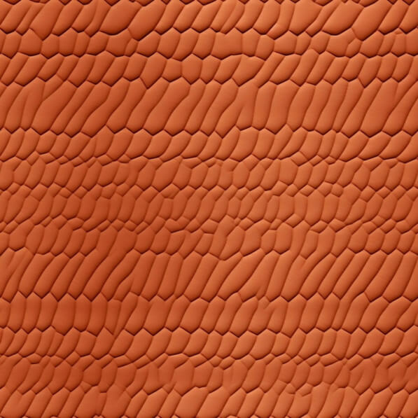 Download Close-Up Orange Snake Skin Texture Patterns Online - Creative ...