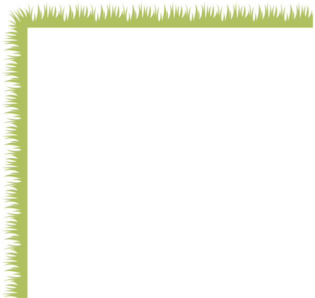 Download Green Grass Frame on White Background Borders & Corners Online - Creative Fabrica