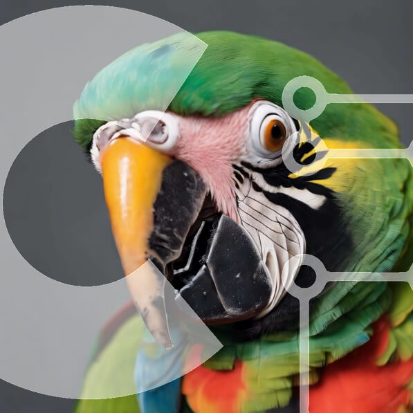 Vibrant Parrot Portrait stock photo | Creative Fabrica