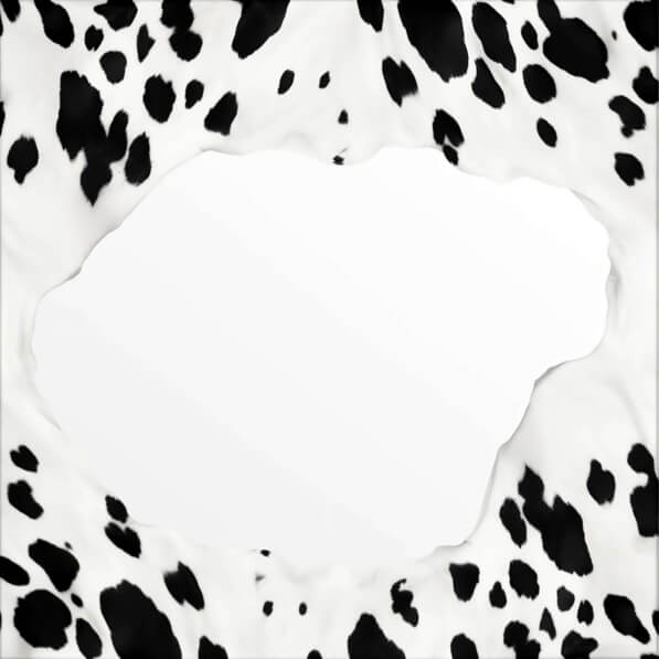 Cow Print Backgrounds - Download Free & Premium Transparent Cow Print ...