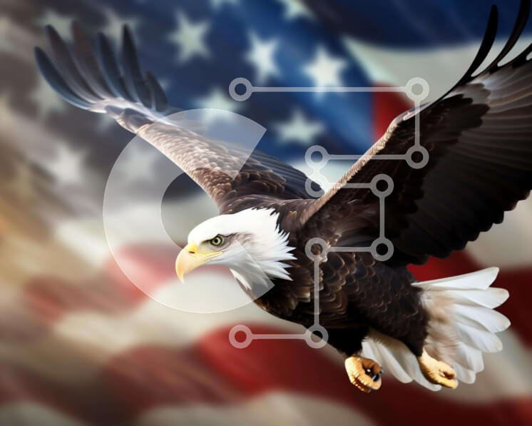 Download Bald Eagle Flying in Front of American Flag Stockphotos Online ...