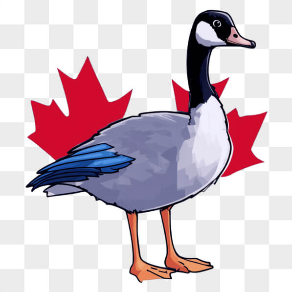 Download Duck in front of Canadian Maple Leaf Cartoons Online ...