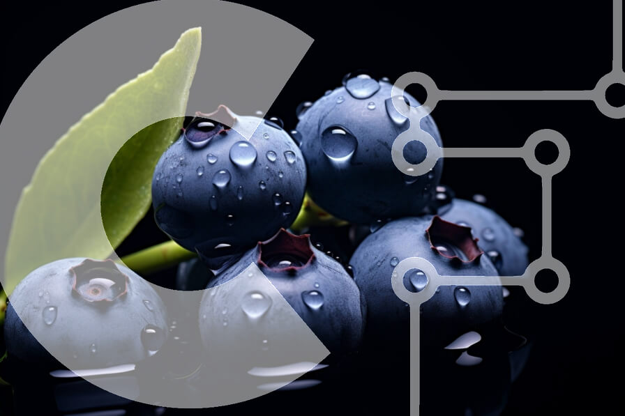 Fresh and Juicy Blueberries with Water Droplets stock photo | Creative ...