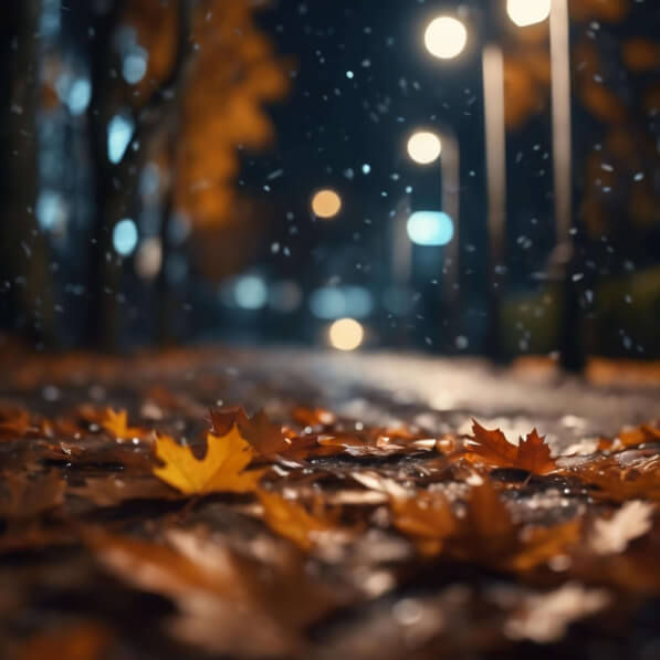 Download Autumn Night Street Scene with Rain and Lights Backgrounds ...