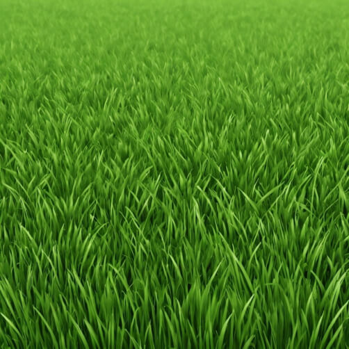 Download Soft and Smooth Green Grass Field Backgrounds Online ...