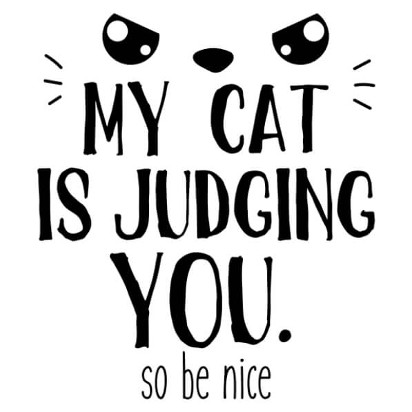 Download My Cat is Judging You: Black and White Image Quotes Online ...