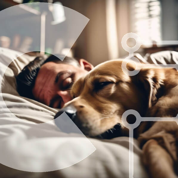 Peaceful Scene of Man and Dog Sleeping Together stock photo | Creative ...
