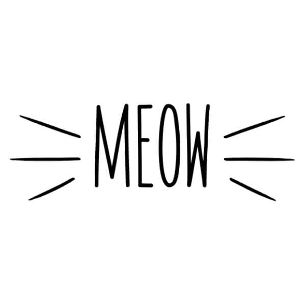 Download Meow with Arrow and Radiating Rays on White Background Quotes ...