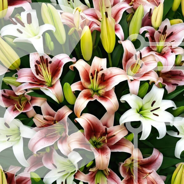 Decorative Bouquet of Lilies stock photo | Creative Fabrica