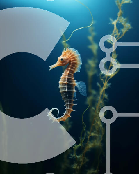 Seahorse in Underwater Ecosystem stock photo | Creative Fabrica