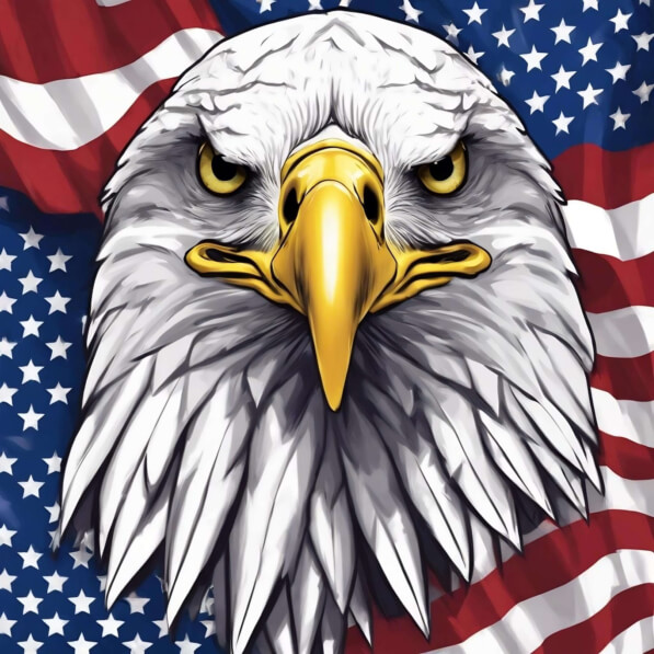 Download Eagle Head with American Flag Background Backgrounds Online ...