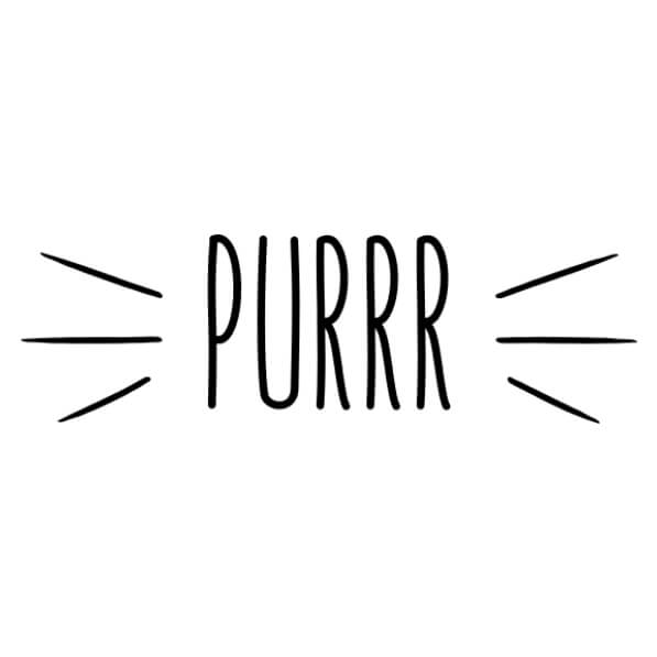 Download Purr Word Design on White Background Quotes Online - Creative ...