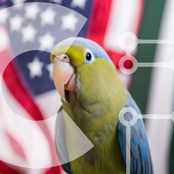 Curious Parrot on American Flag stock photo | Creative Fabrica