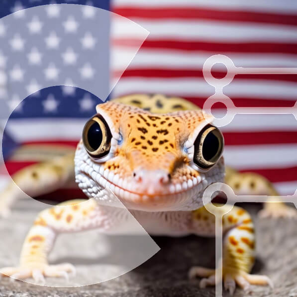 Curious Gecko with American Flag Background stock photo | Creative Fabrica