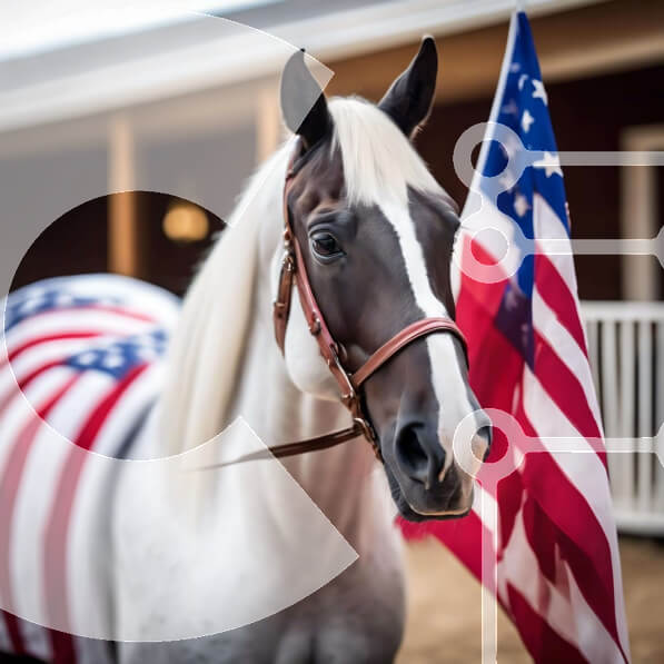 Patriotic Horse with American Flag stock photo | Creative Fabrica