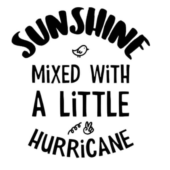 Download Abstract Black and White Poster with Sunshine and Hurricane ...