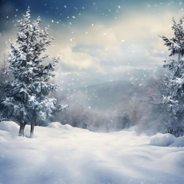 Download Snowy Winter Landscape with Falling Snow Backgrounds Online ...