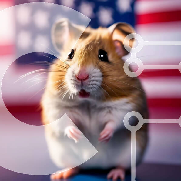 Excited Hamster in front of American Flag stock photo | Creative Fabrica