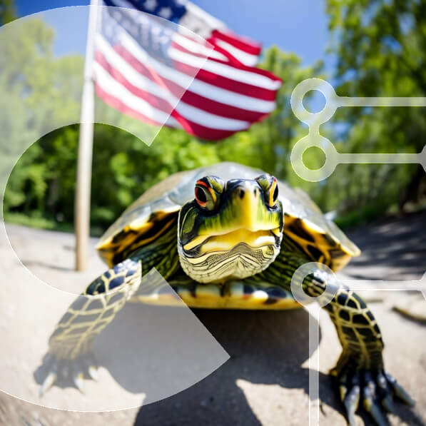Curious Turtle with American Flag stock photo | Creative Fabrica