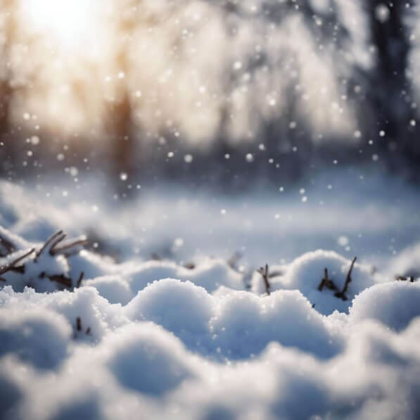 Baixe Paisagem Neve com Árvores e Neve Caindo Backgrounds - Creative ...