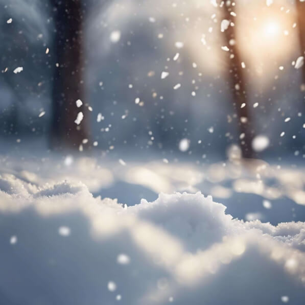 Download Winter Scene with Falling Snow and Trees Backgrounds Online ...