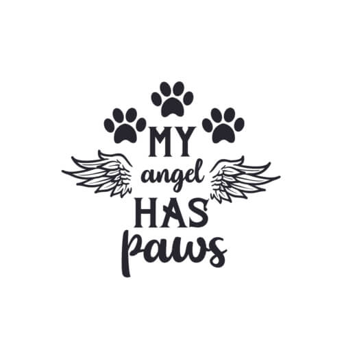 Download I Believe in Angels Because of You - Angel Wings Design Quotes ...