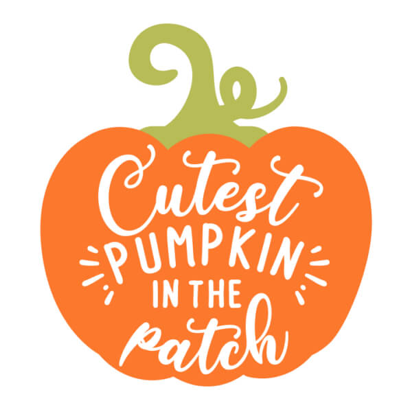 Download Cutest Pumpkin in the Patch - Fall Home Decor Quotes Online ...